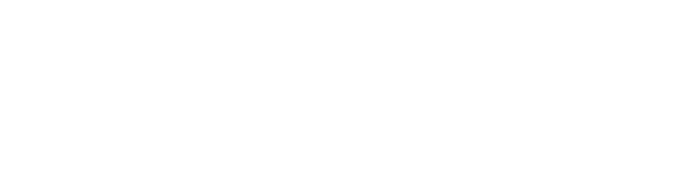 Max 3 - SmartInject Solutions